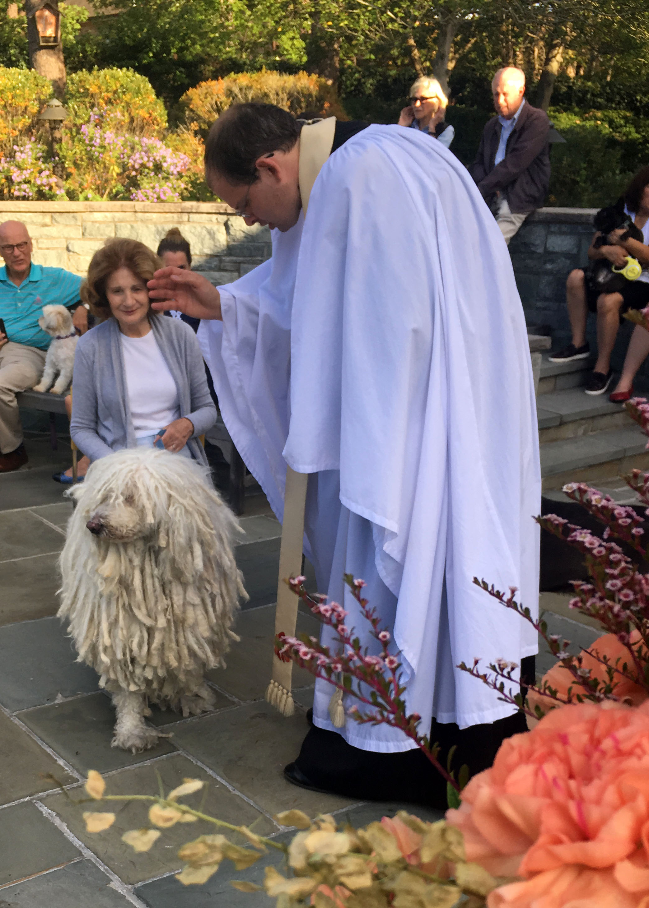 Blessing of the Animals | St. Francis Episcopal Church Potomac