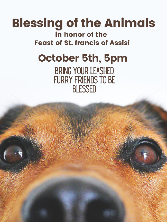 Blessings of the Animals | St. Francis Episcopal Church Potomac